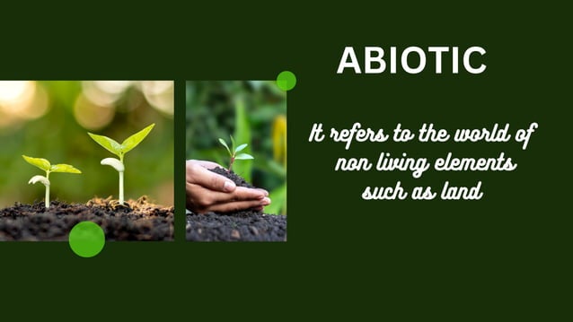 Class 7 Geography chapter no. 01 Environment | PDF | Geography | Science