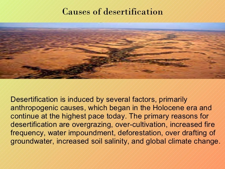 Desertification Causes