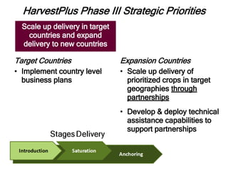 ROLE OF ZINCATED WHEAT IN REDUCING HUNGER-DR MUHAMMAD ANJUM ALI | PPT
