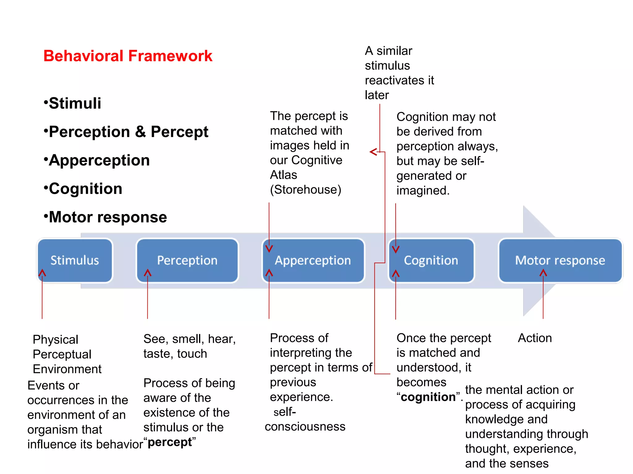 Environmental determinism and possibilism | PPT