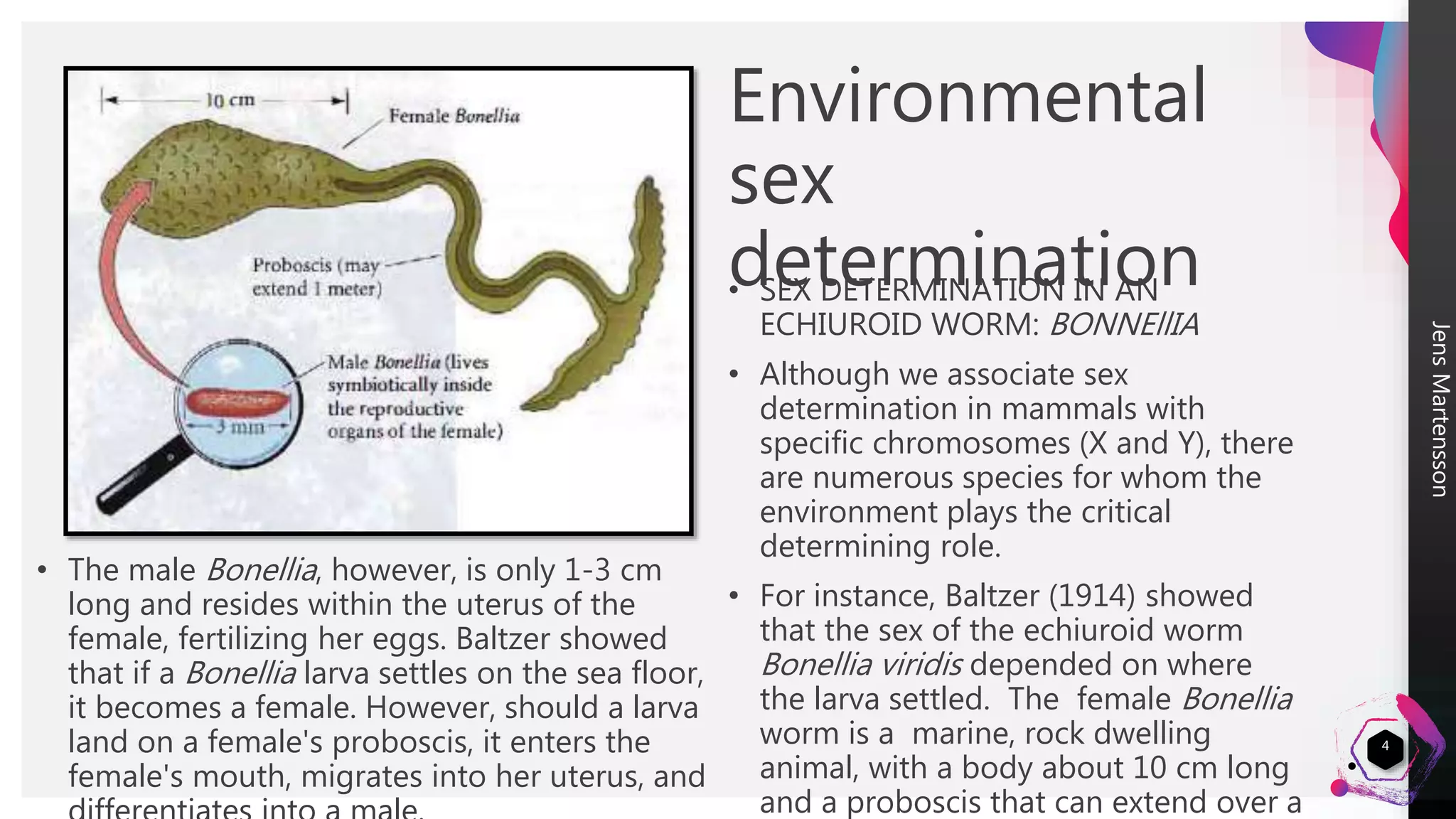 Environmental Developmental Biology.pptx