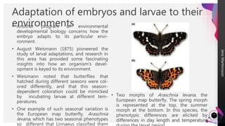 Environmental Developmental Biology.pptx