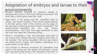 Environmental Developmental Biology.pptx