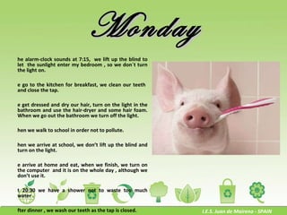 Environmental diary | PPT