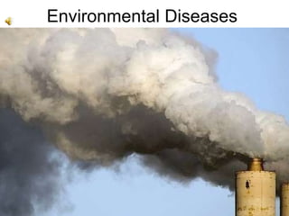 Environmental Diseases | PPT
