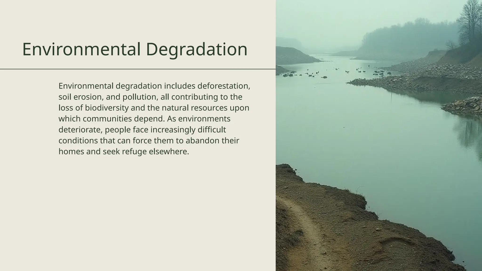 Issues of Environmental Displacement.pptx