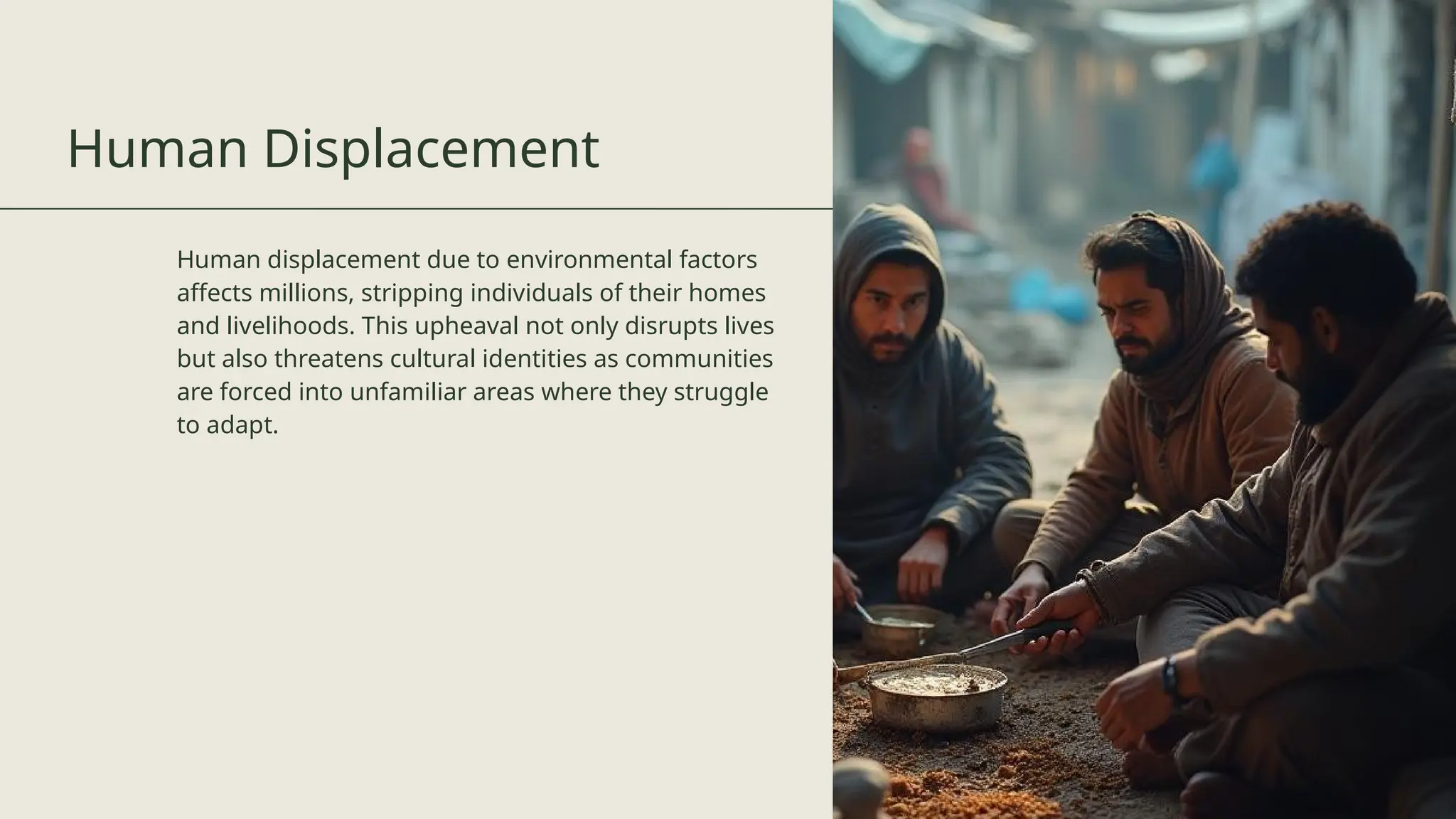 Issues of Environmental Displacement.pptx