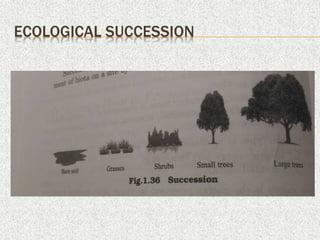 Environmental, ecosystem and biodiversity | PPTX