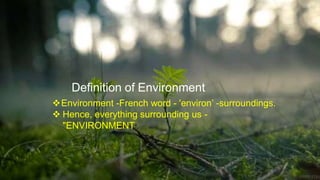 ENVIRONMENTAL EDUCATION | PPT