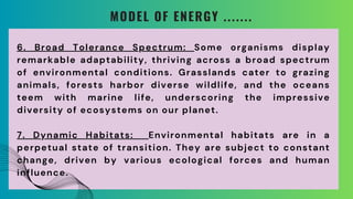 Environmental Education Approaches & Sustainable Development Role.pdf