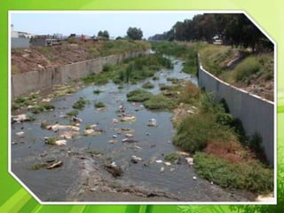 Environmental Education ( Special Topics) | PPTX