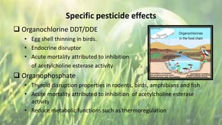 Environmental effects of pesticide | PPTX