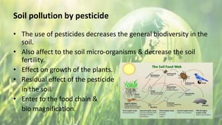 Effects Of Soil Pollution On Biodiversity
