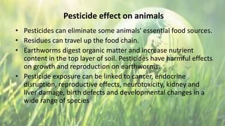 Effects Of Pesticides On Soil