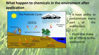 Harmful Effects Of Pesticides On Environment