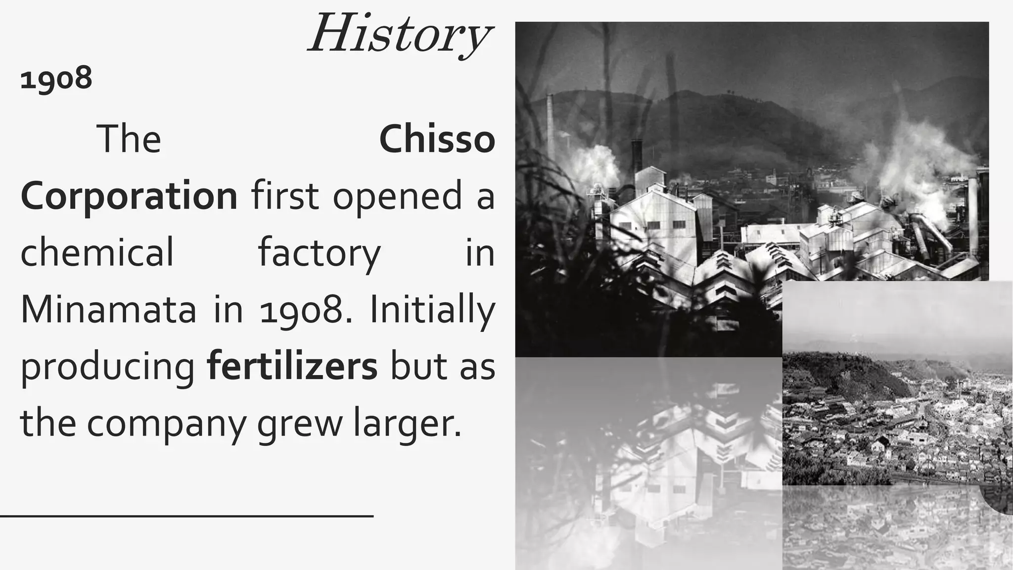 Environmental Engineering - Case Study - The Minamata Disease Disaster ...