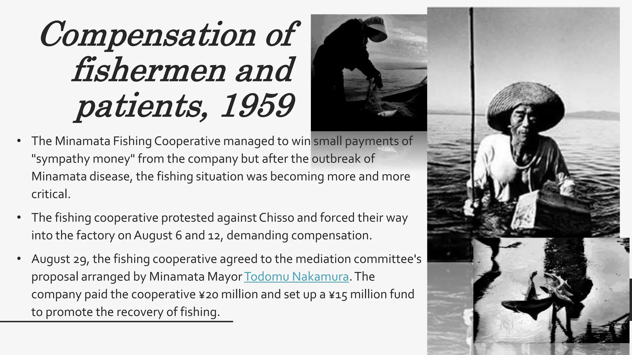 Environmental Engineering - Case Study - The Minamata Disease Disaster ...