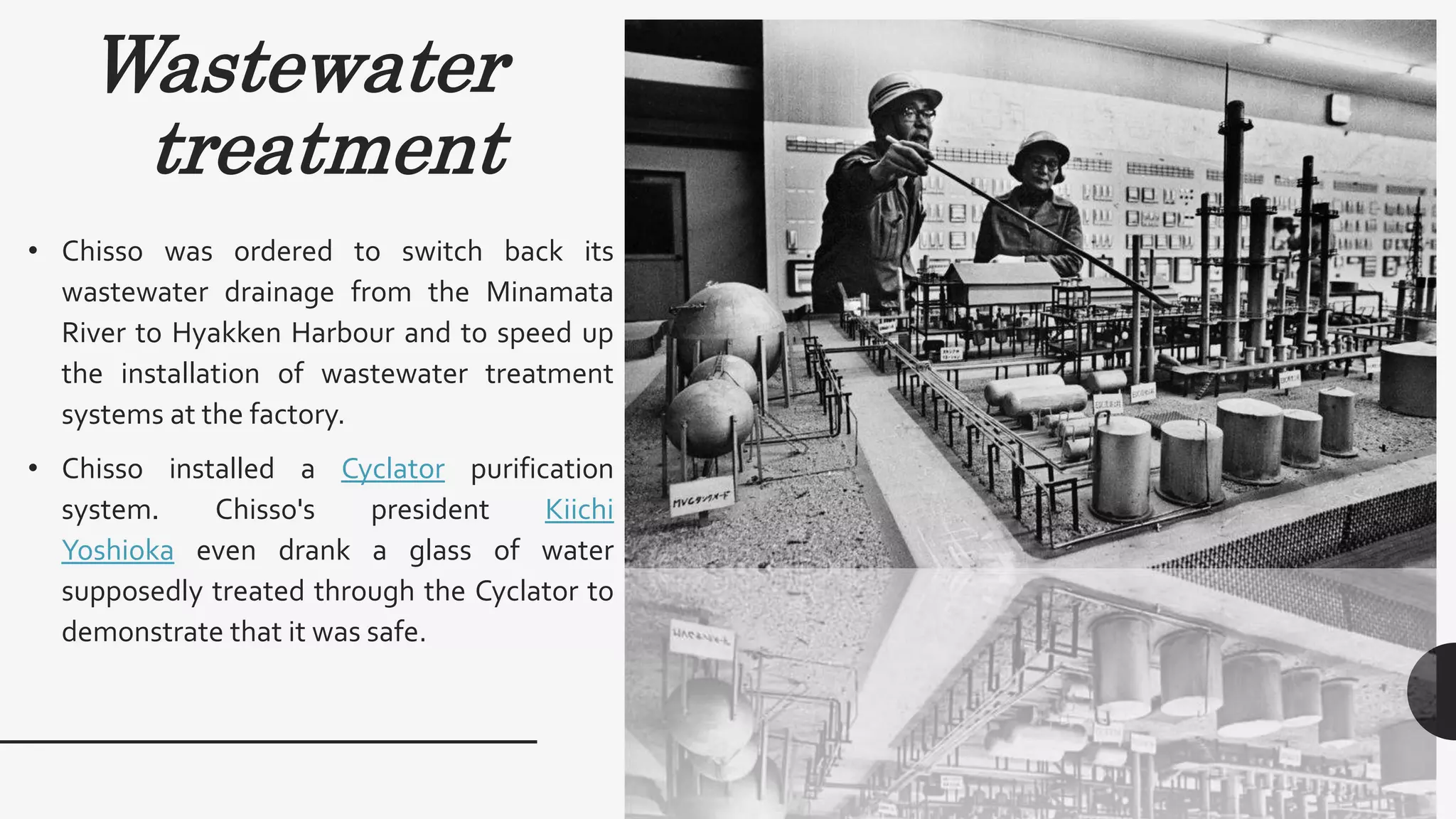 Environmental Engineering - Case Study - The Minamata Disease Disaster ...