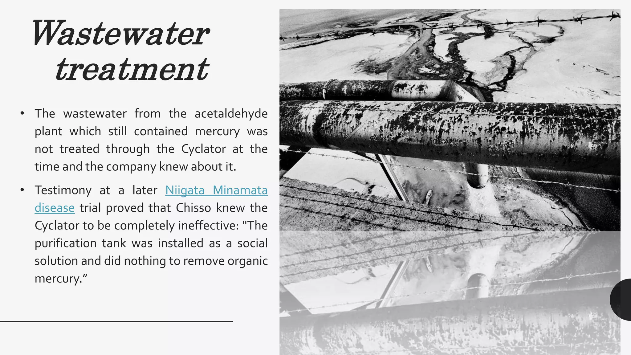 Environmental Engineering - Case Study - The Minamata Disease Disaster ...