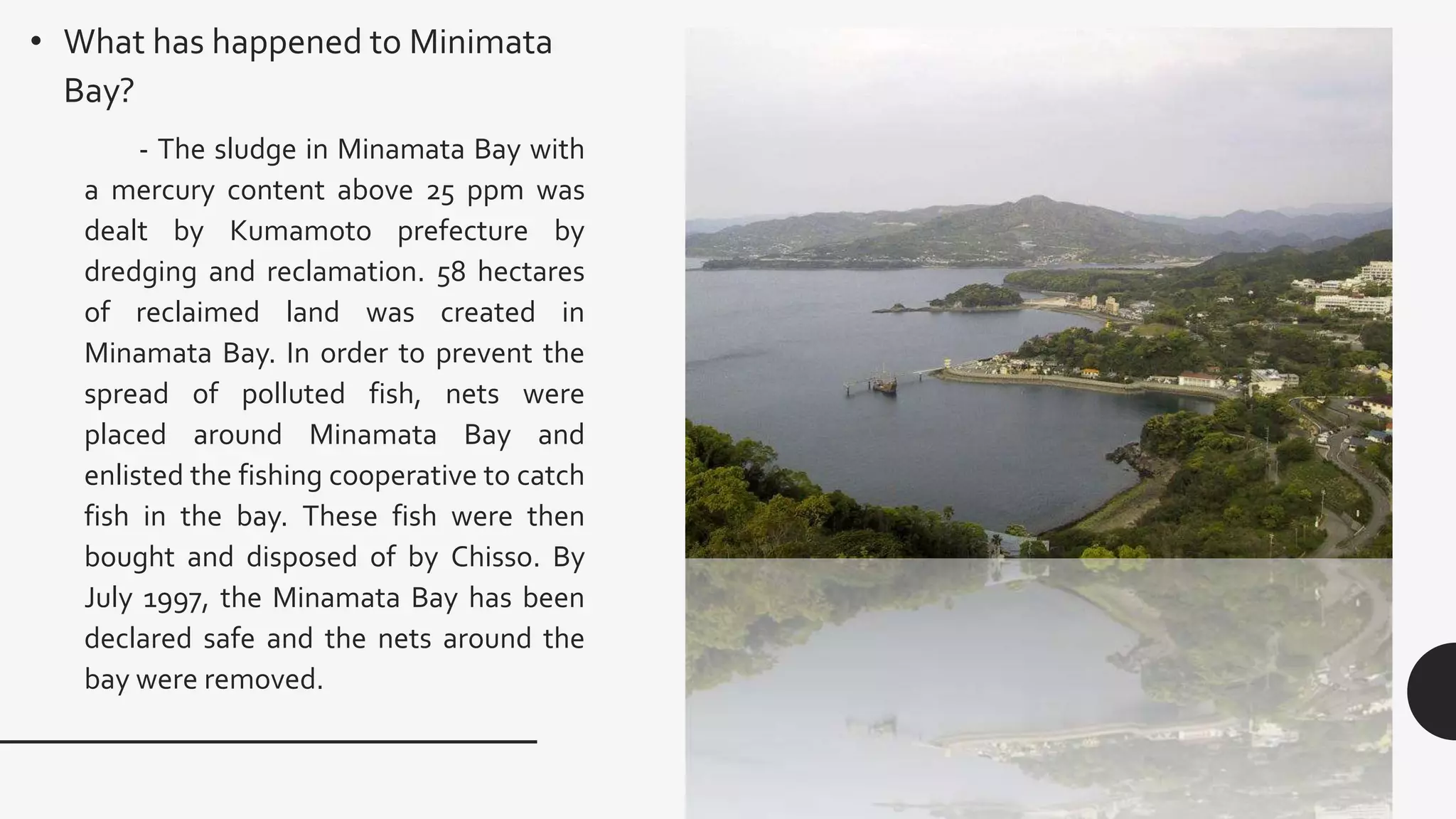 Environmental Engineering - Case Study - The Minamata Disease Disaster ...