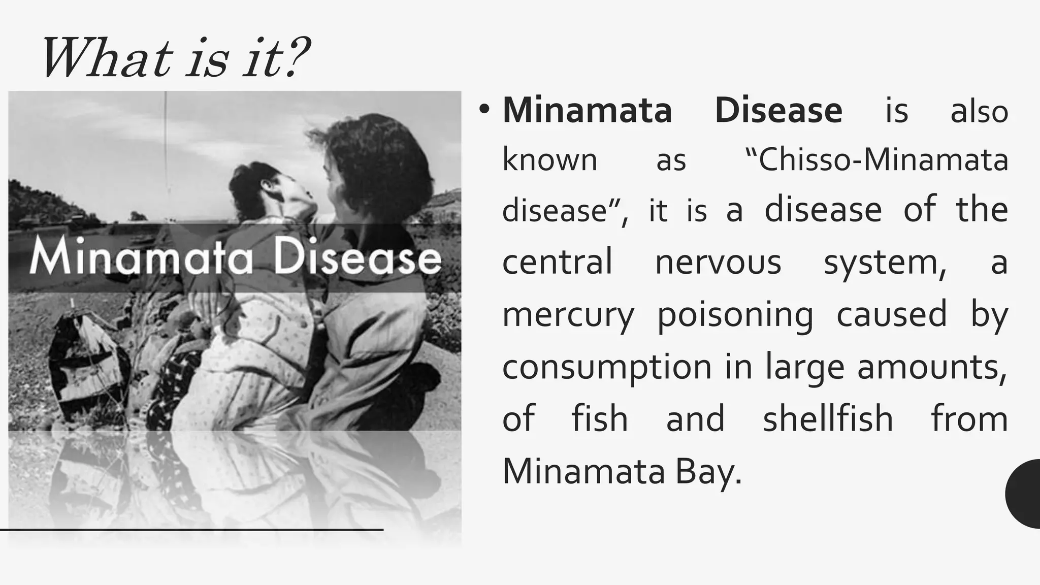 Environmental Engineering - Case Study - The Minamata Disease Disaster ...