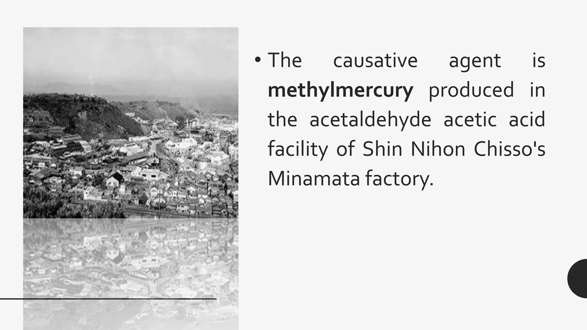 Environmental Engineering - Case Study - The Minamata Disease Disaster ...