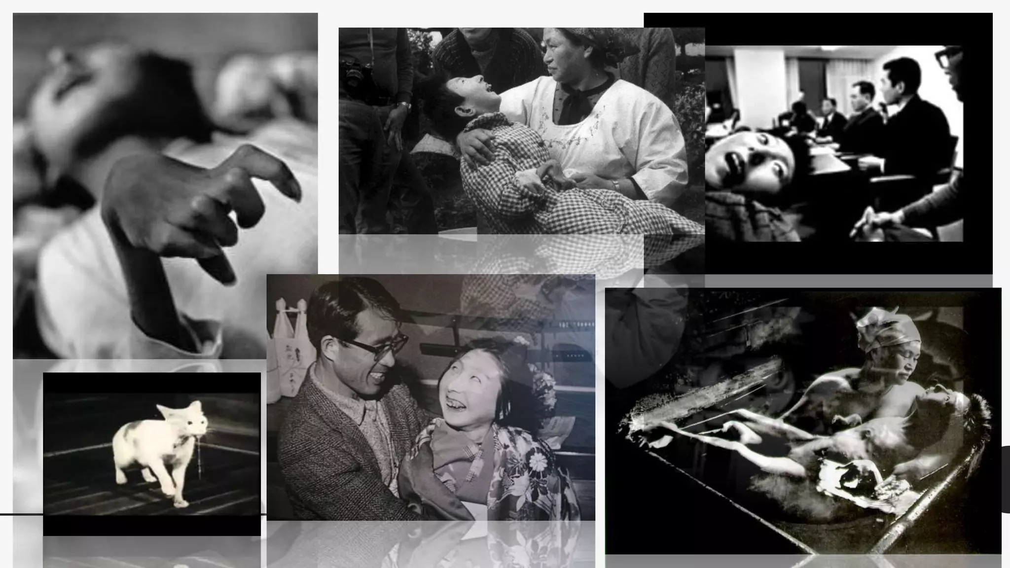 Environmental Engineering - Case Study - The Minamata Disease Disaster