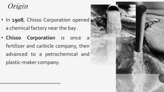 Environmental Engineering - Case Study - The Minamata Disease Disaster ...