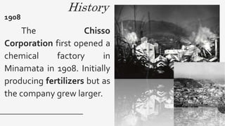 Environmental Engineering - Case Study - The Minamata Disease Disaster ...