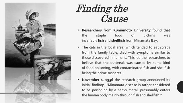 Environmental Engineering - Case Study - The Minamata Disease Disaster ...