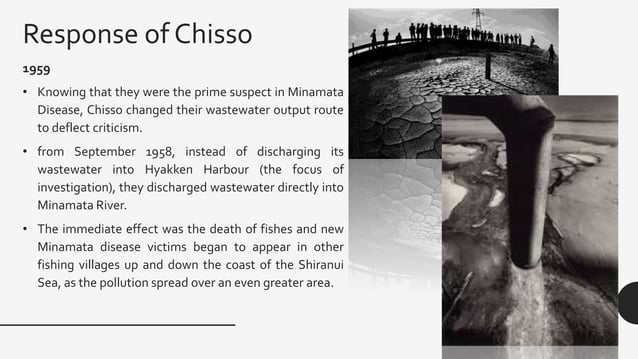 Environmental Engineering - Case Study - The Minamata Disease Disaster ...