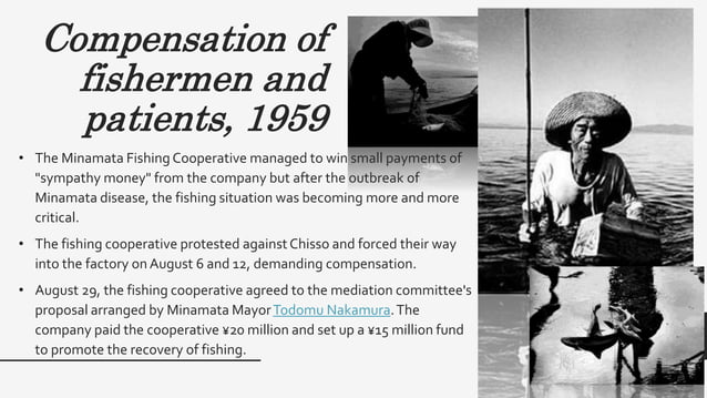 Environmental Engineering - Case Study - The Minamata Disease Disaster ...