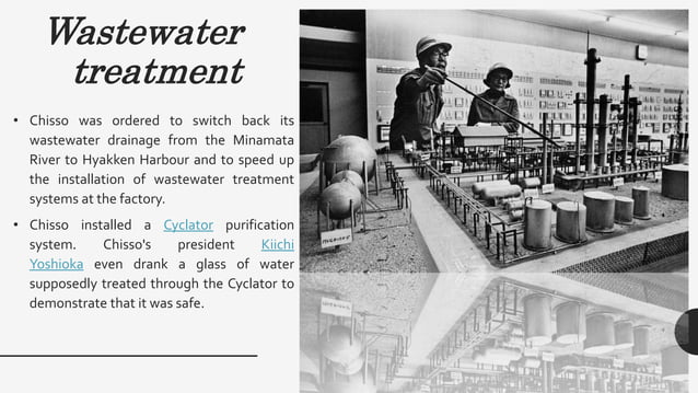 Environmental Engineering - Case Study - The Minamata Disease Disaster ...