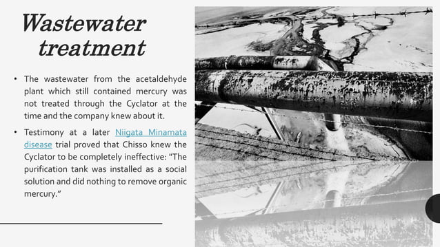 Environmental Engineering - Case Study - The Minamata Disease Disaster ...