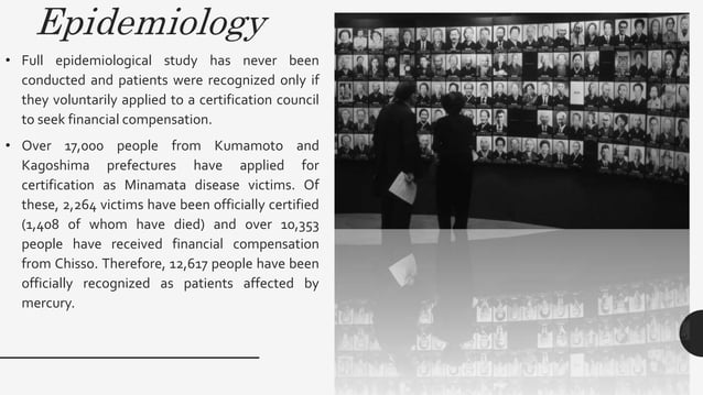Environmental Engineering - Case Study - The Minamata Disease Disaster ...
