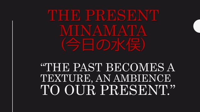 Environmental Engineering - Case Study - The Minamata Disease Disaster ...