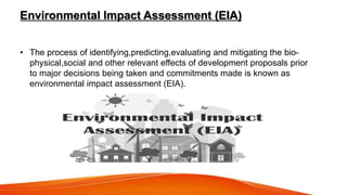 Environmental Engineering eia report italy 09.pptx