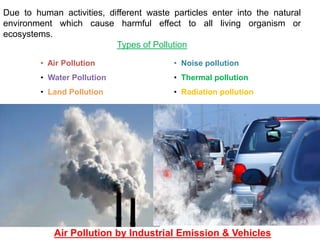 Environmental engineering & safety | PPTX