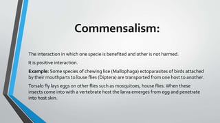 Environmental Entomology (Introduction) | PPT