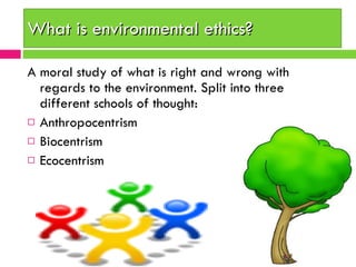 Environmental ethics | PPT
