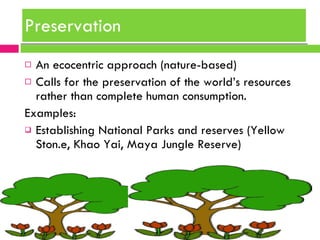 Environmental ethics | PPT