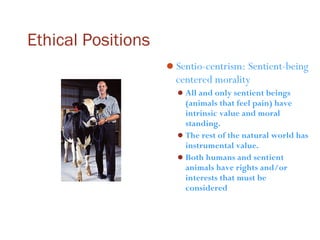 Environmental ethics | PPT