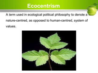 Environmental ethics | PPT