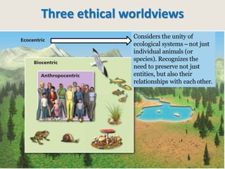 Environmental ethics 2018 | PPTX