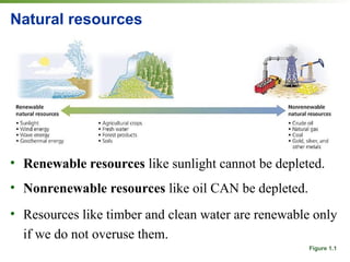 What is Environmental Ethics in Engineering | PPT