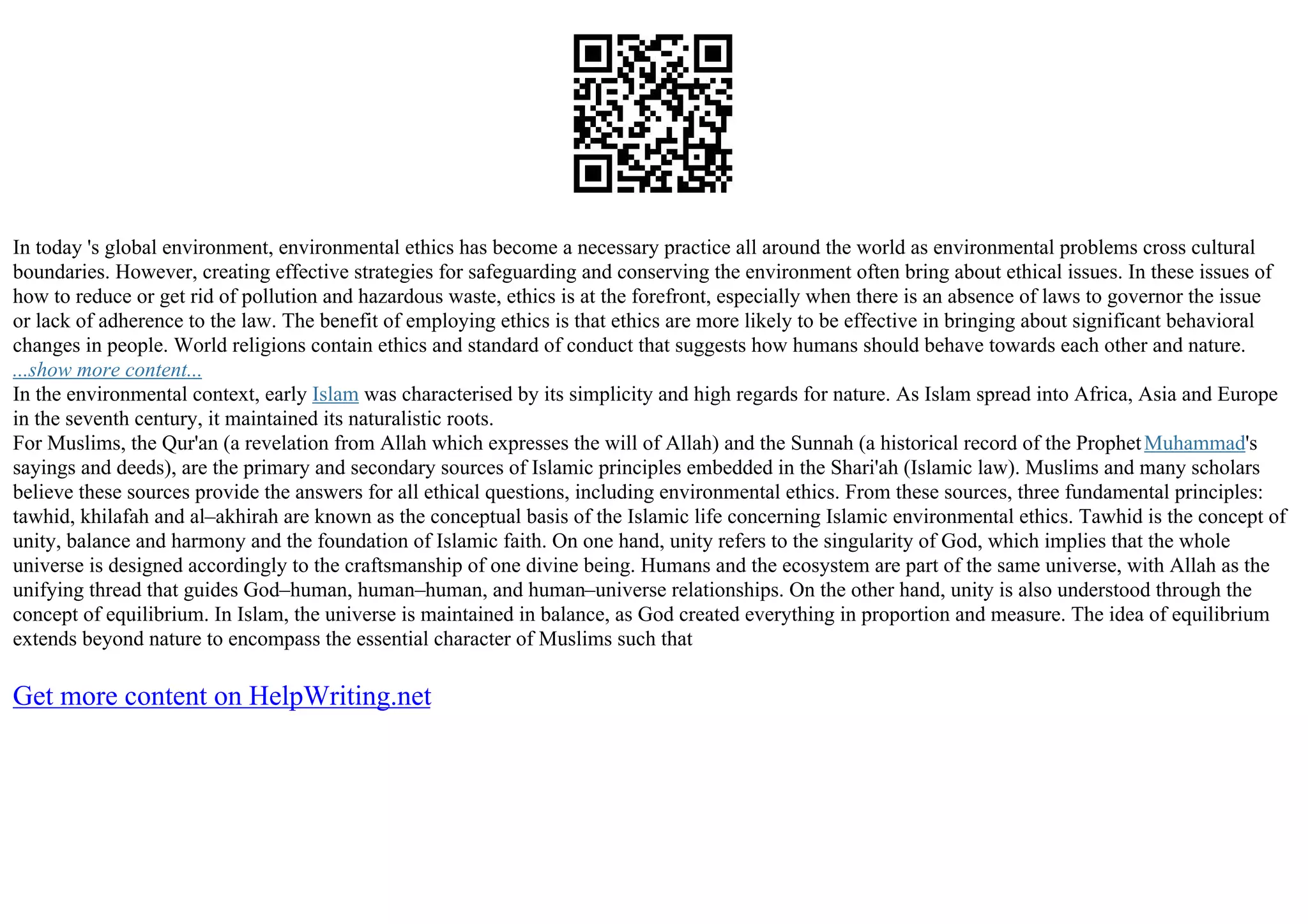 Environmental Ethics And Pollution | PDF