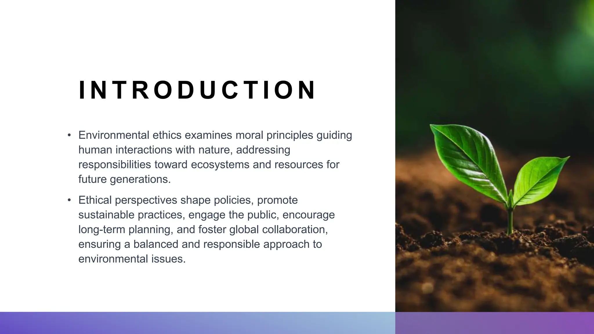 Environmental ethics Siddharth Nikaju.pptx