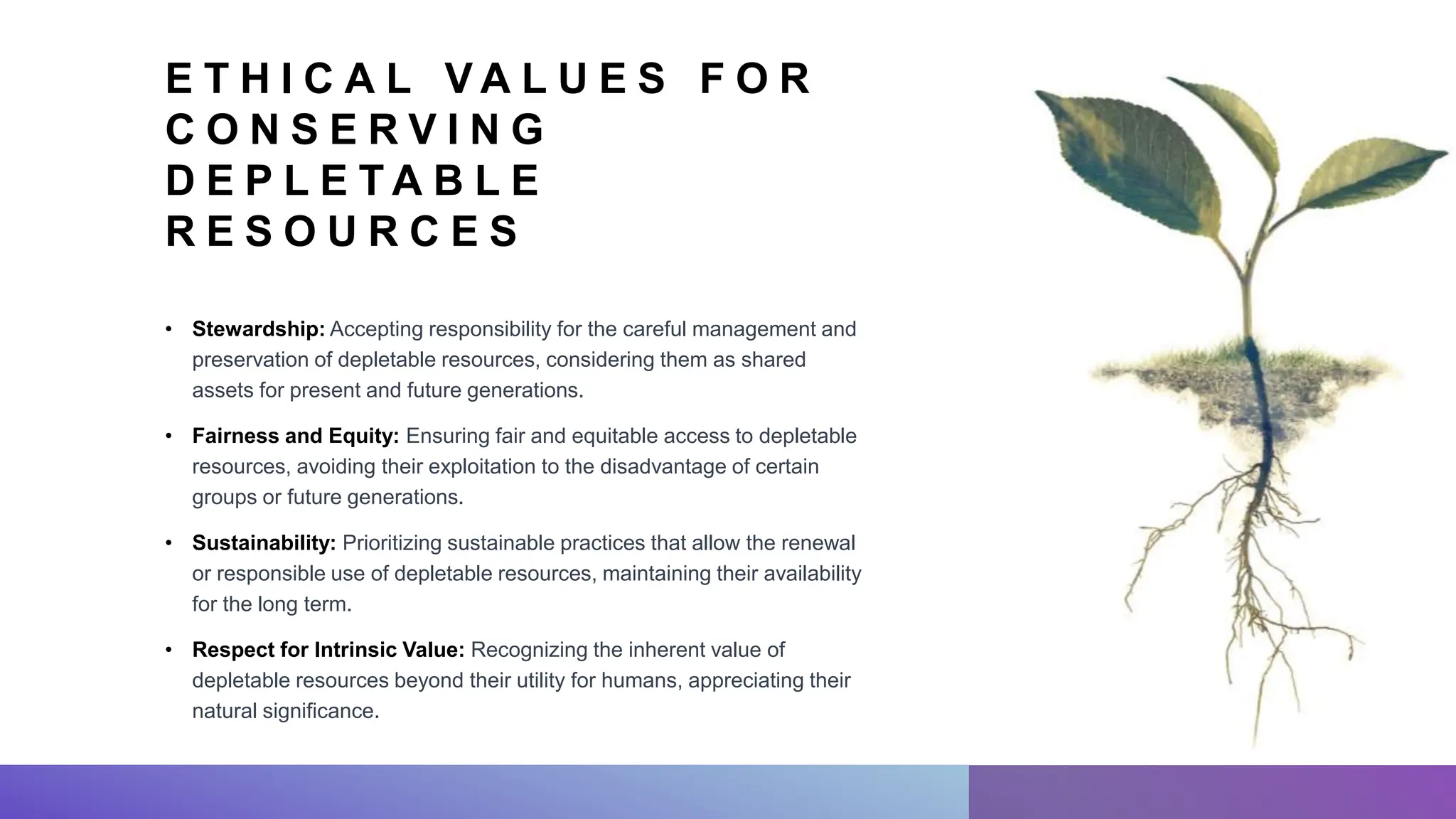 Environmental ethics Siddharth Nikaju.pptx