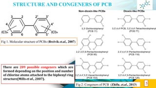 ENVIRONMENTAL FATE OF POLYCHLORINATED BIPHENYL (PCB).pptx