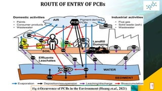 ENVIRONMENTAL FATE OF POLYCHLORINATED BIPHENYL (PCB).pptx